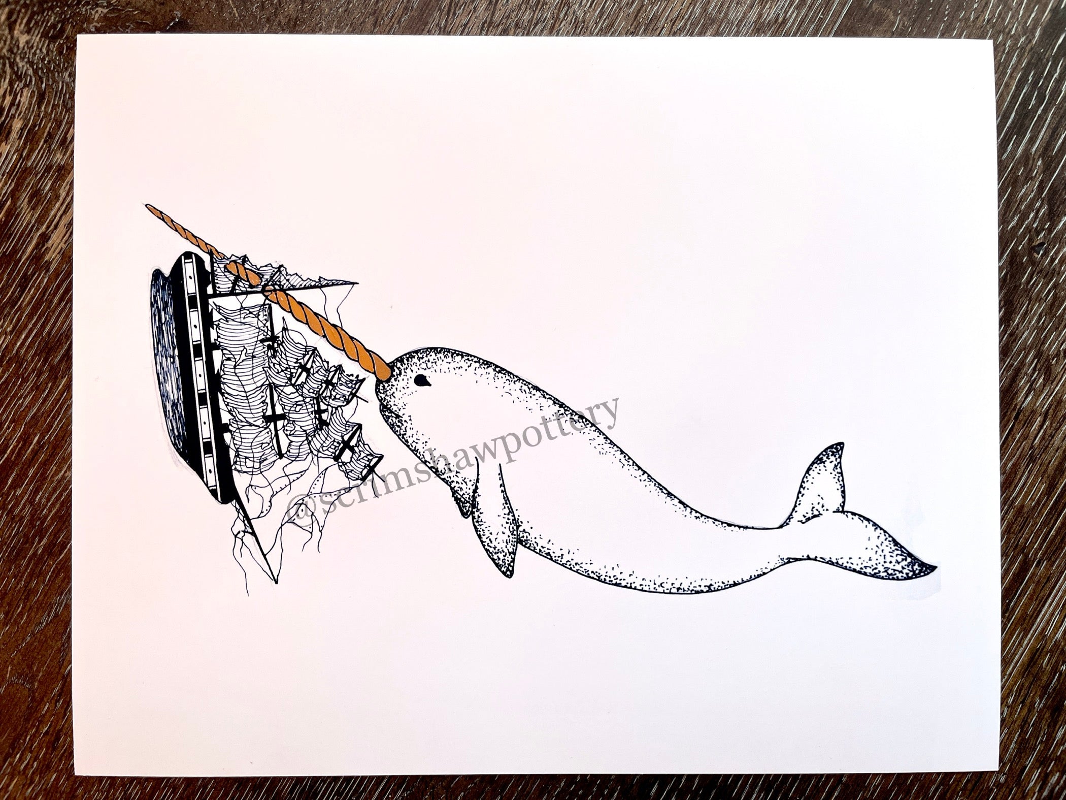 The Gnarwhal Print – Scrimshaw Pottery